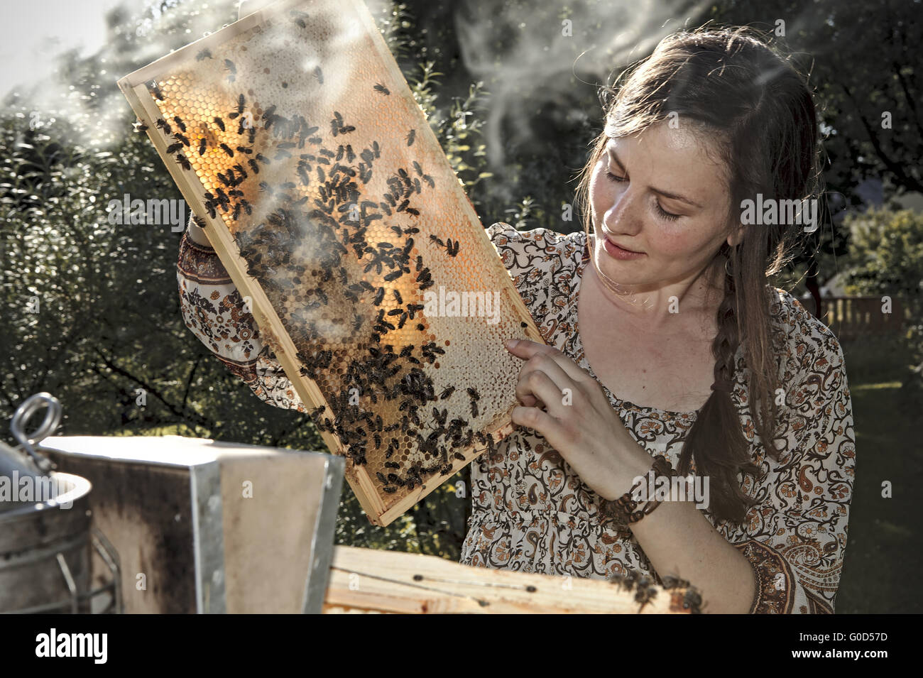 Female beekeeper working at her beehives Stock Photo - Alamy