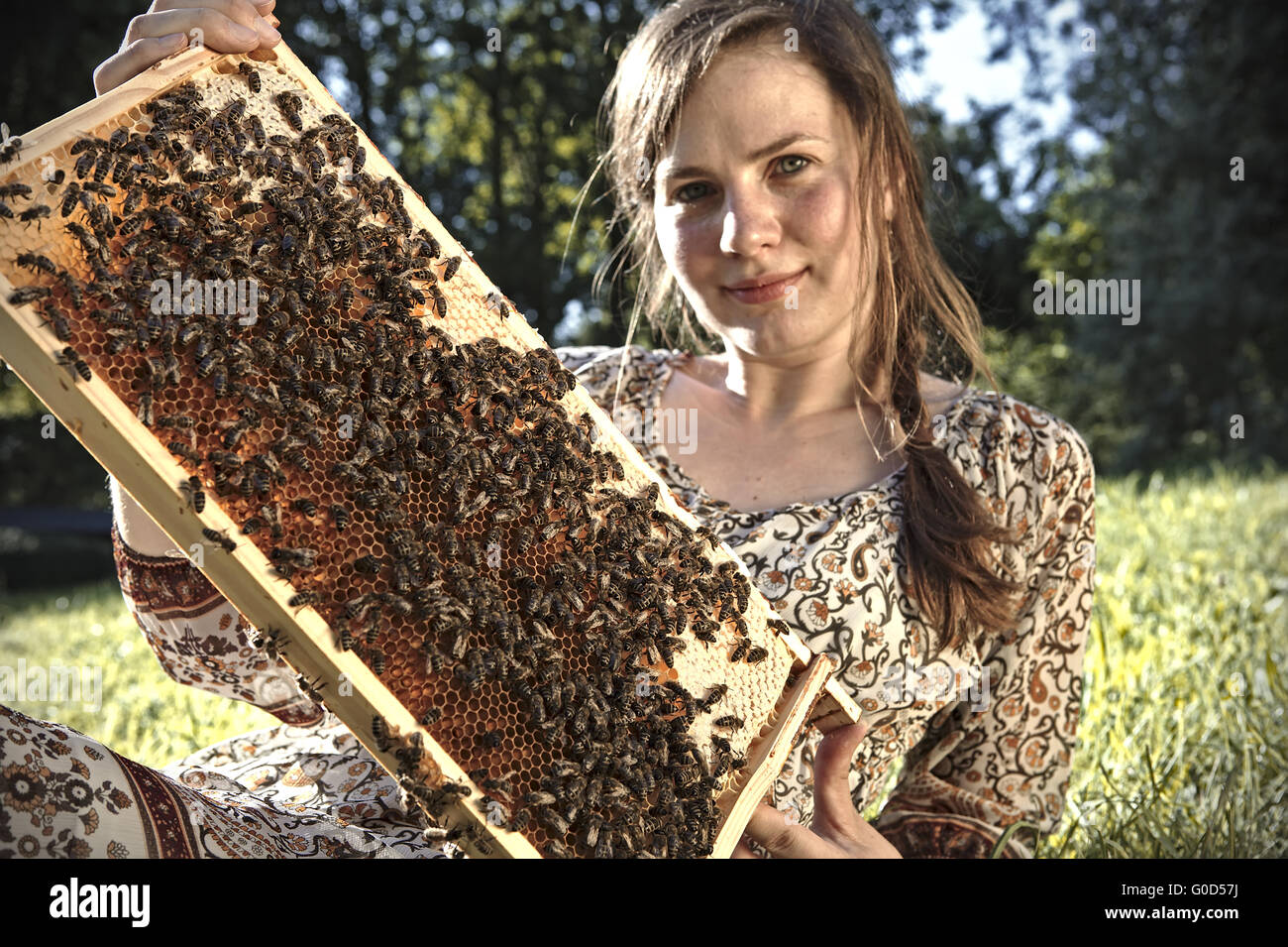 Female Beekeeper with honeycomb and bees Stock Photo - Alamy