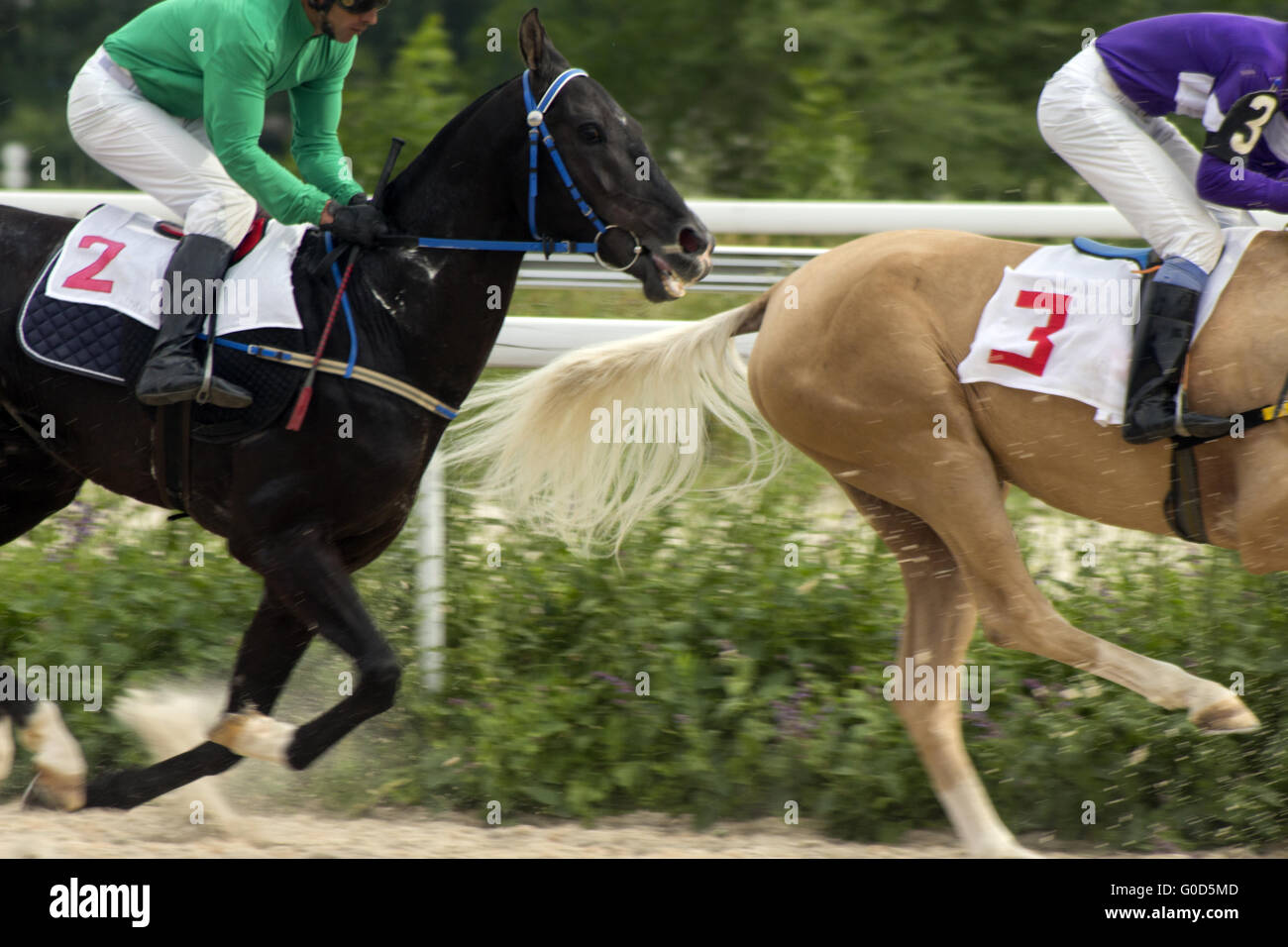 Hors racing hi-res stock photography and images - Alamy