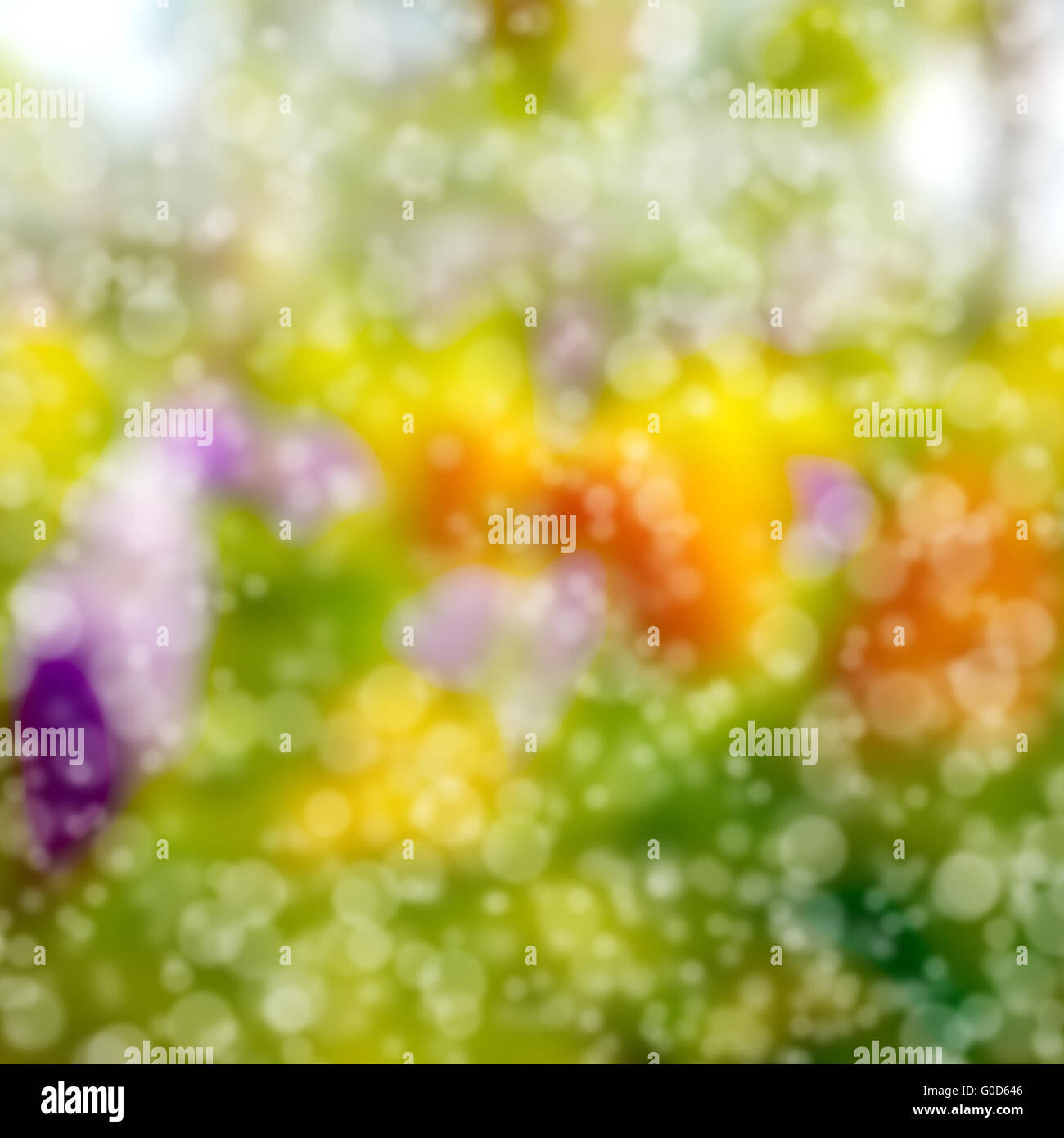 Soft and blurred bokeh background Stock Photo - Alamy