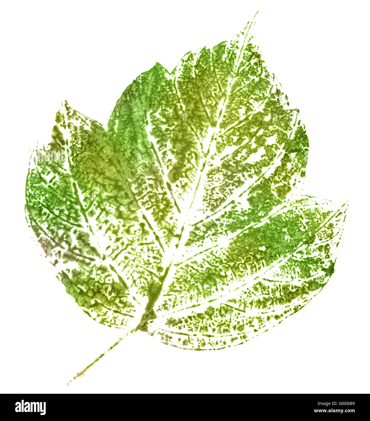green stamp of leaf Stock Photo - Alamy