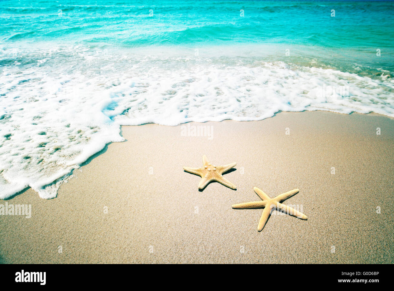Starfish on a beach sand. Vintage retro style Stock Photo - Alamy