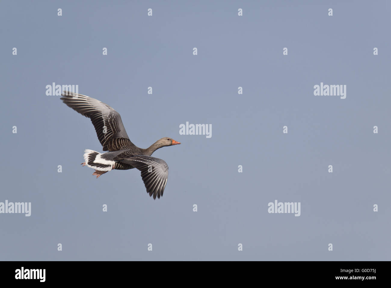 Air photograph hi-res stock photography and images - Alamy