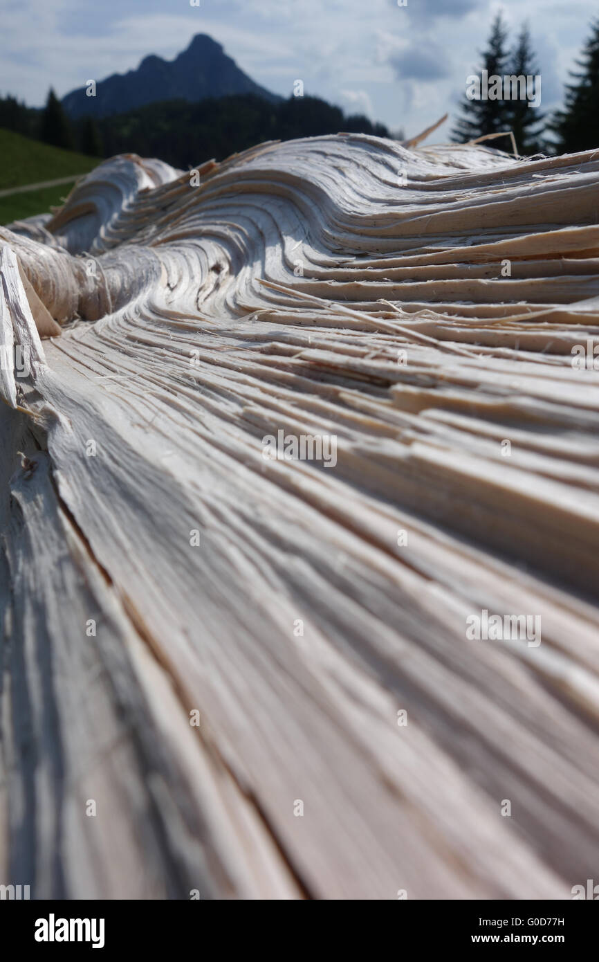See wood structure hi-res stock photography and images - Alamy
