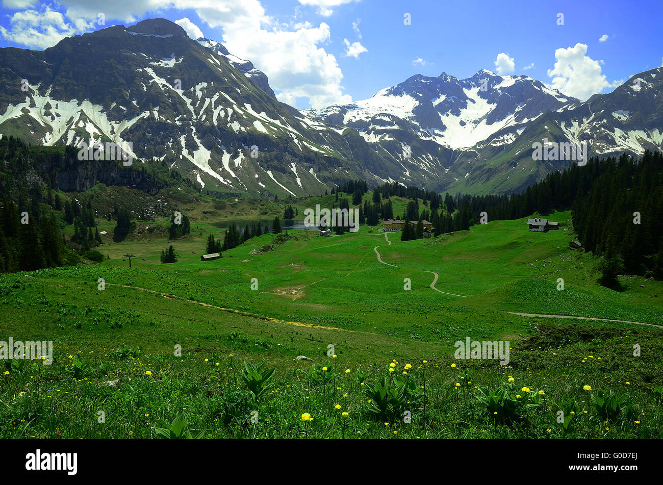 alps; alpine landscape; Austria Stock Photo - Alamy