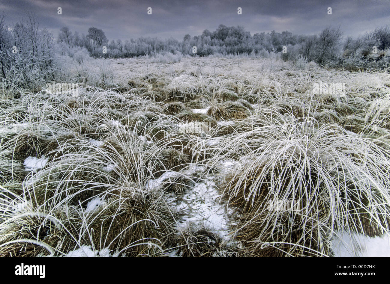 Overall appearance of the landscape hi-res stock photography and images ...