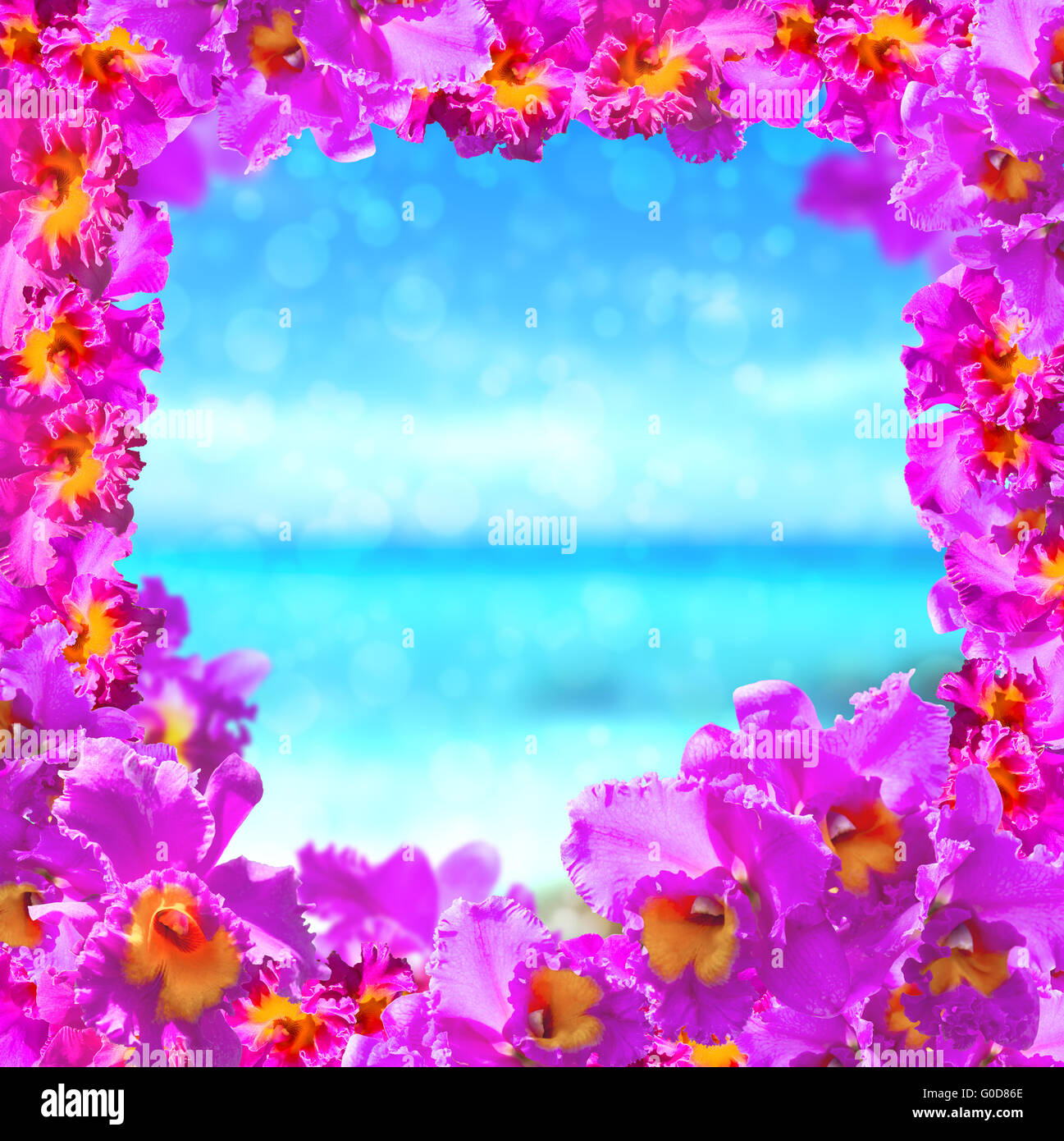 Frame of Beauty Pink Orchids Stock Photo - Alamy