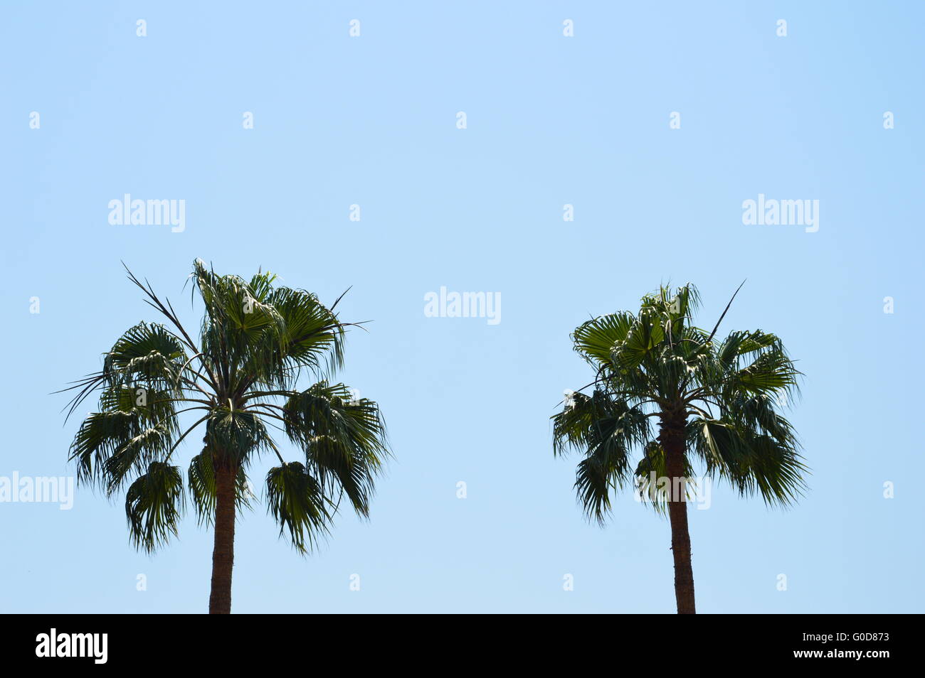 Two tribes hi-res stock photography and images - Alamy