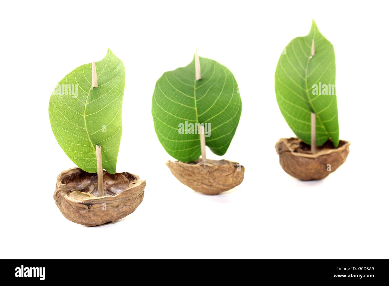 Walnut shell boat hi-res stock photography and images - Alamy