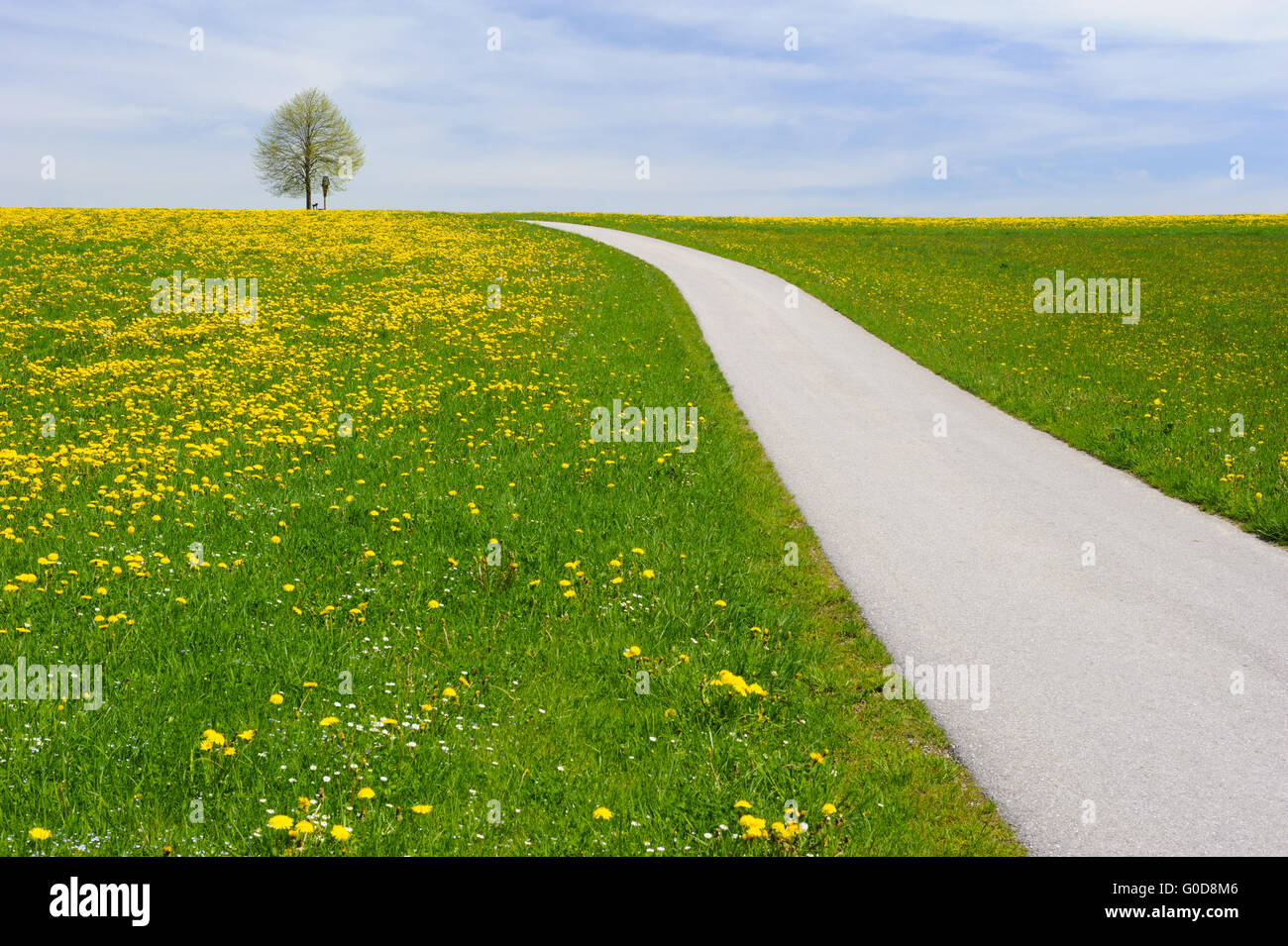 Grass track through field hi-res stock photography and images - Alamy