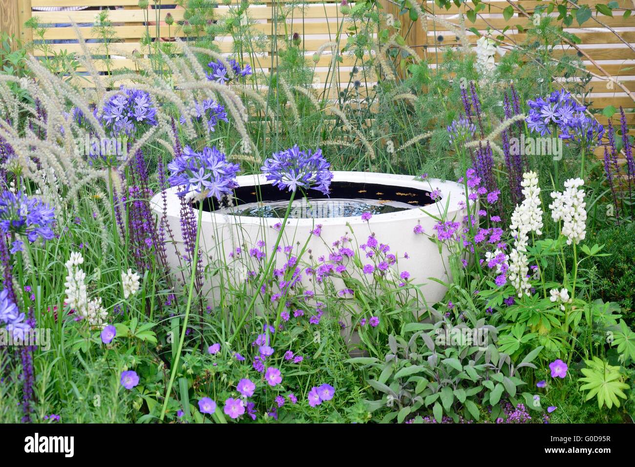 Water feature with purple flowers Stock Photo - Alamy