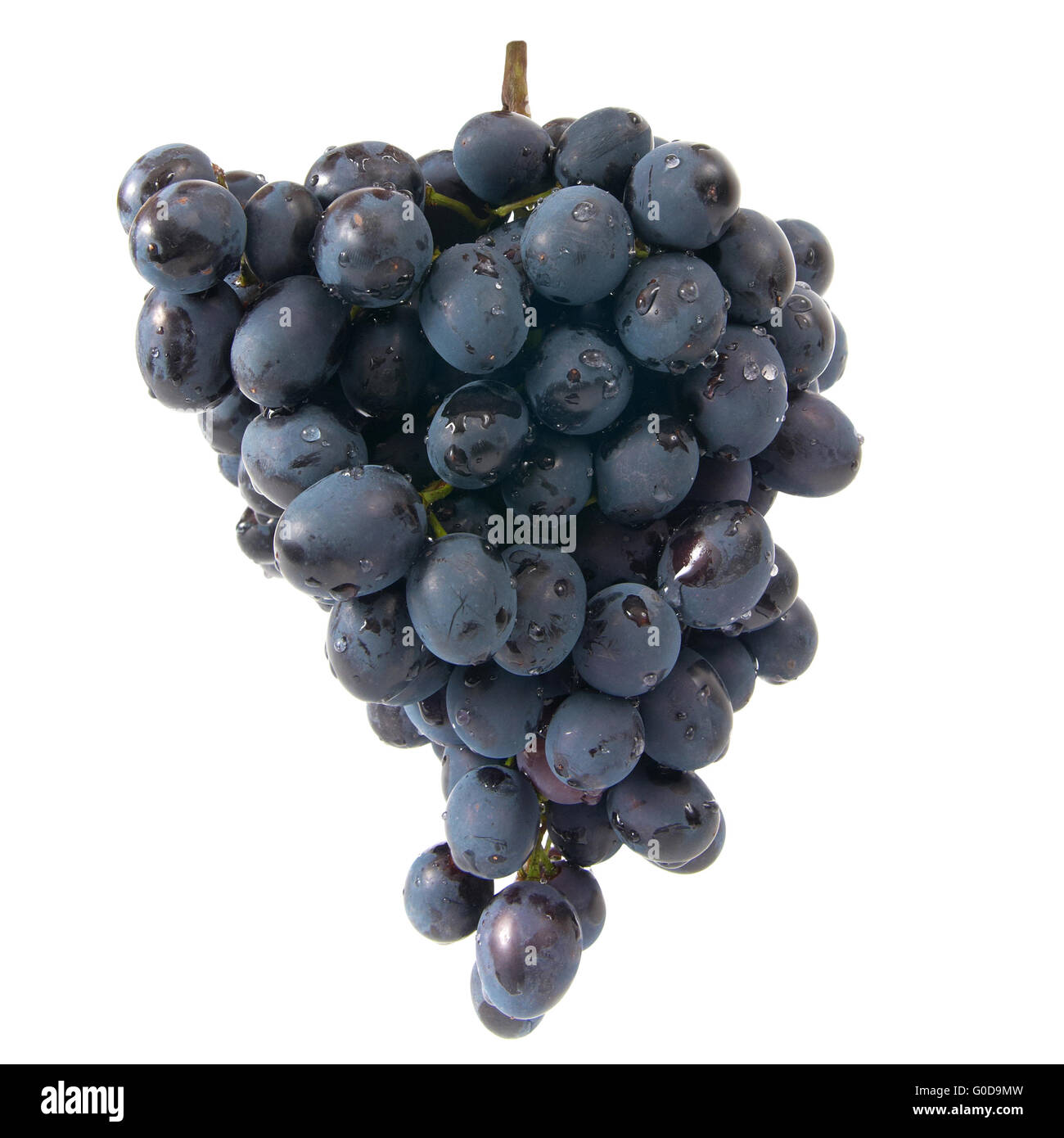 Bunch of ripe red grapes Stock Photo - Alamy