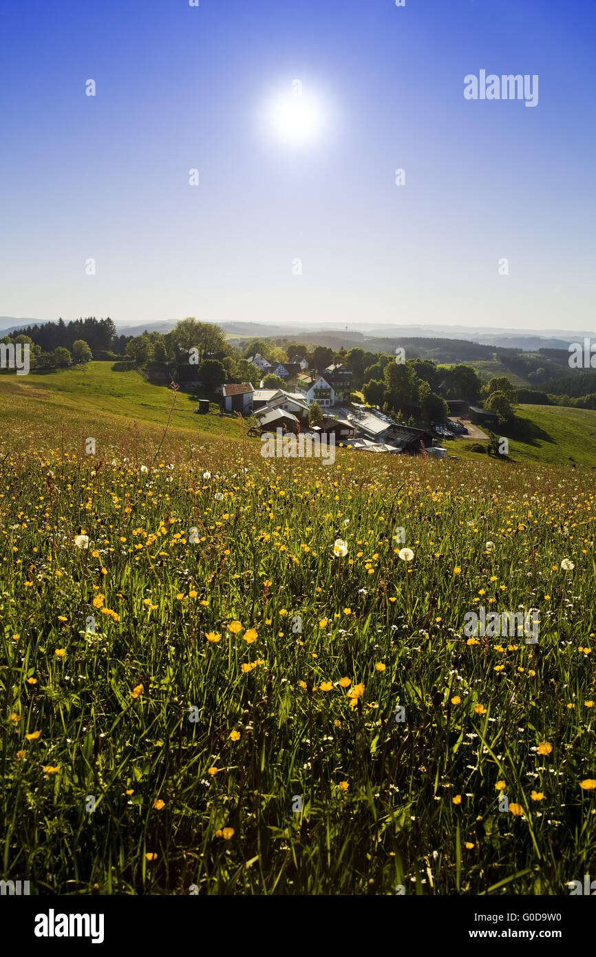 lookout point over the landscape near wildewiese Stock Photo - Alamy