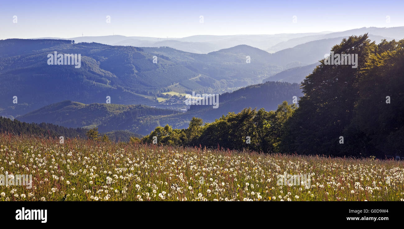 lookout point over the landscape near wildewiese Stock Photo - Alamy