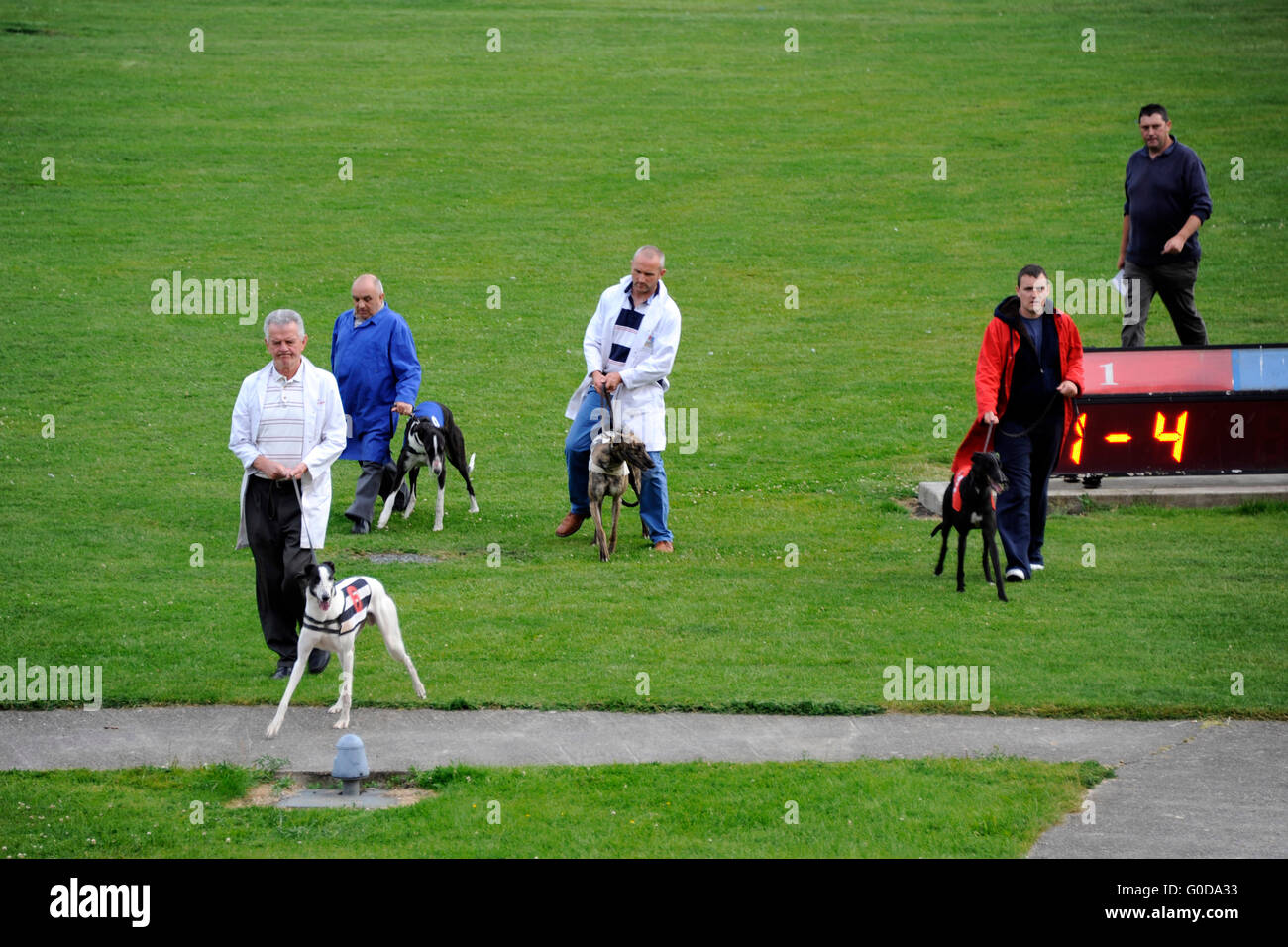 Departure of Greyhound racing, Shelbourne Park Greyhound Stadium ...