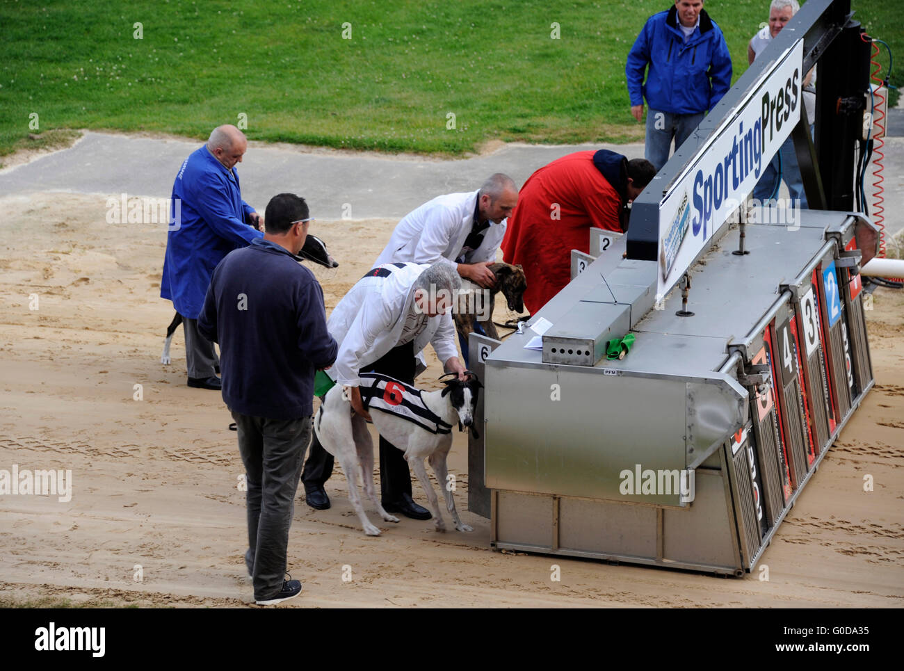 Departure of Greyhound racing, Shelbourne Park Greyhound Stadium ...