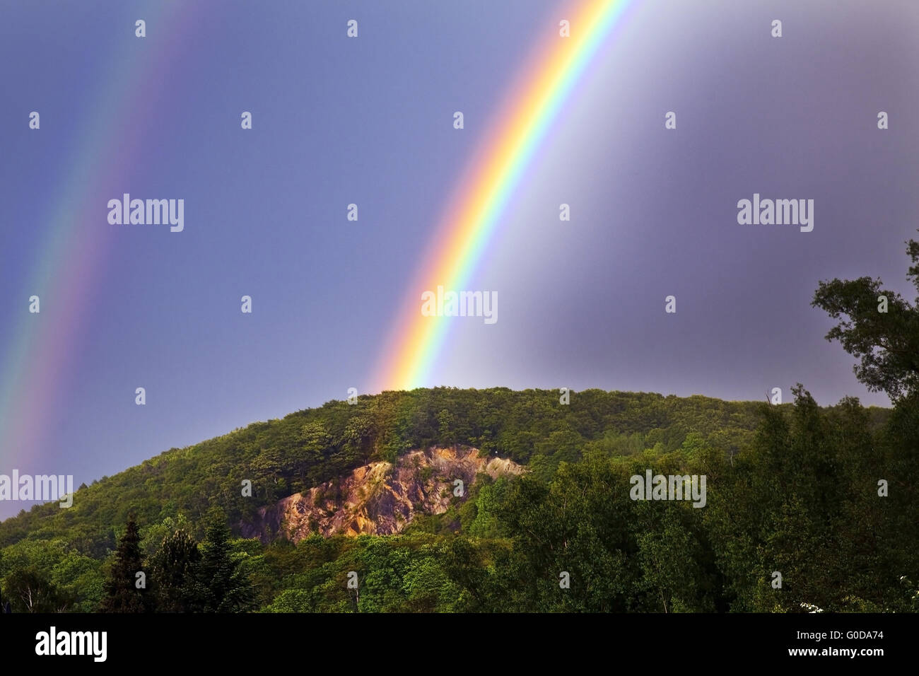 Wartenberg hi-res stock photography and images - Alamy