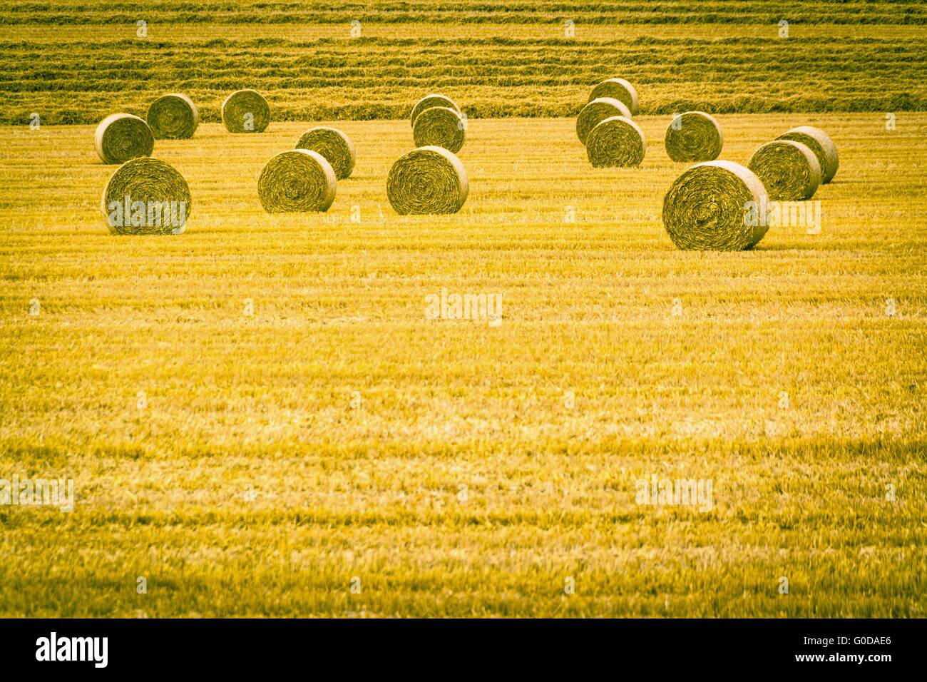 Straw bales stubble field hi-res stock photography and images - Alamy
