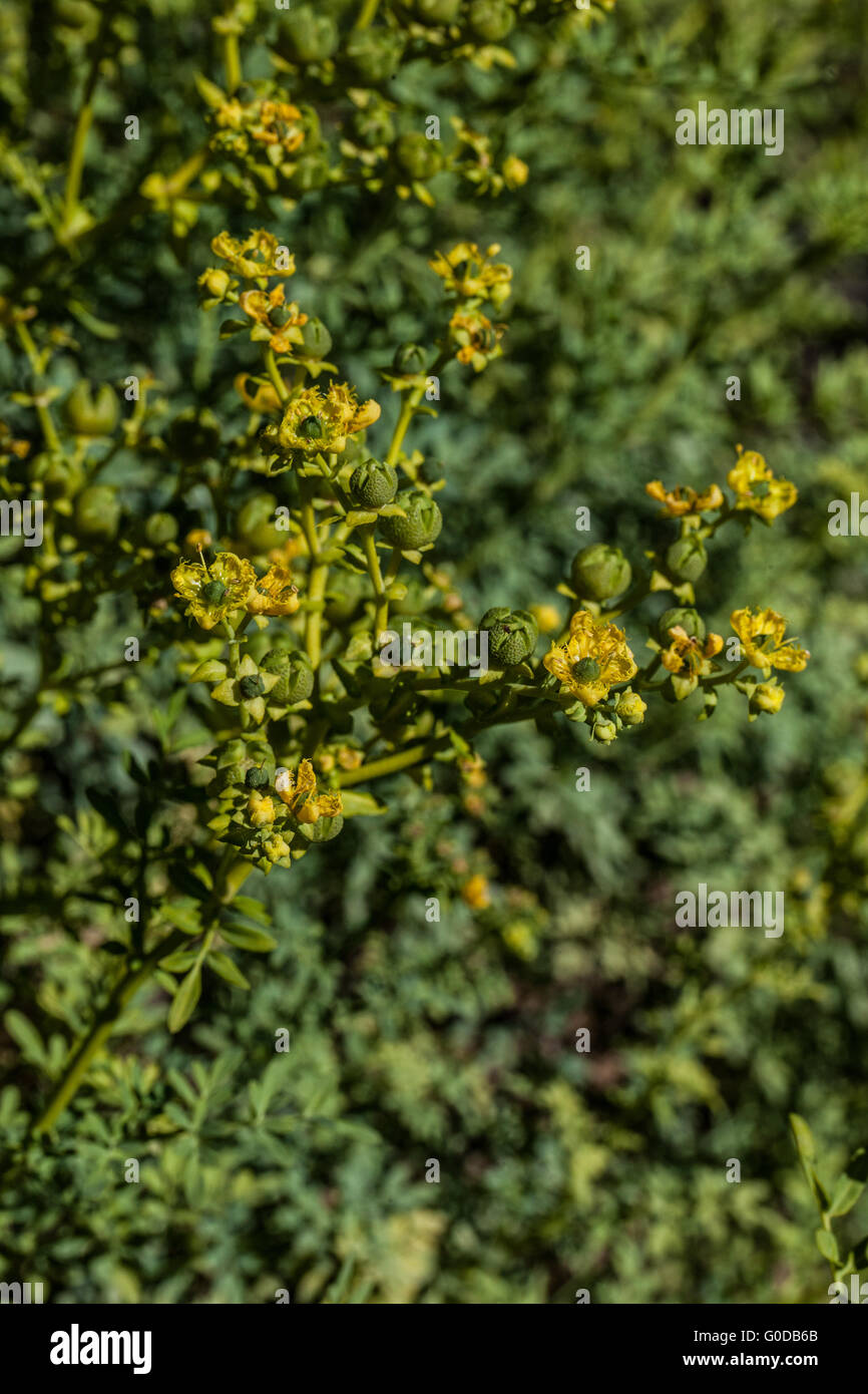 Ruta natural hi-res stock photography and images - Alamy