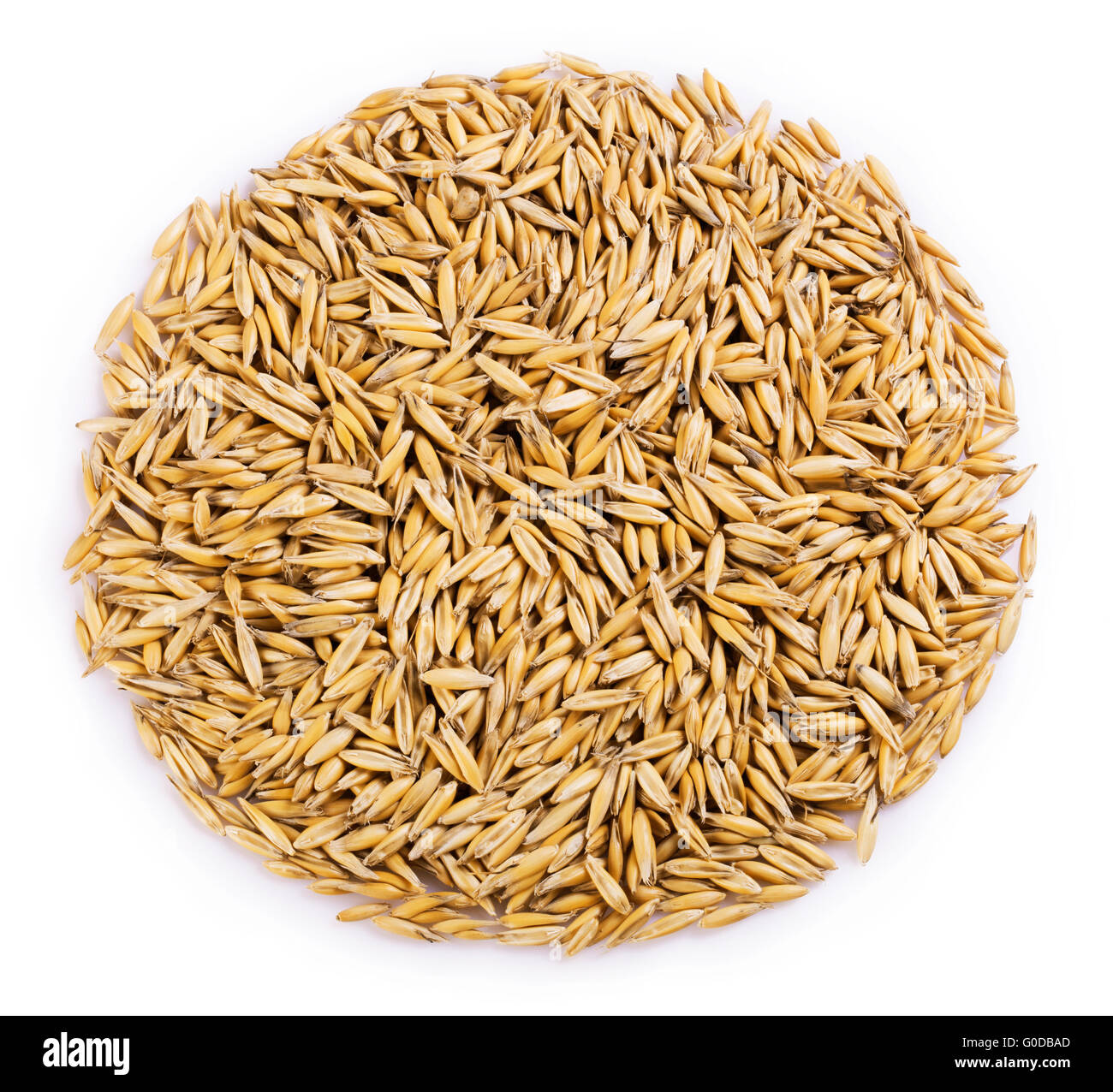 Wild cereal grains Cut Out Stock Images & Pictures - Alamy