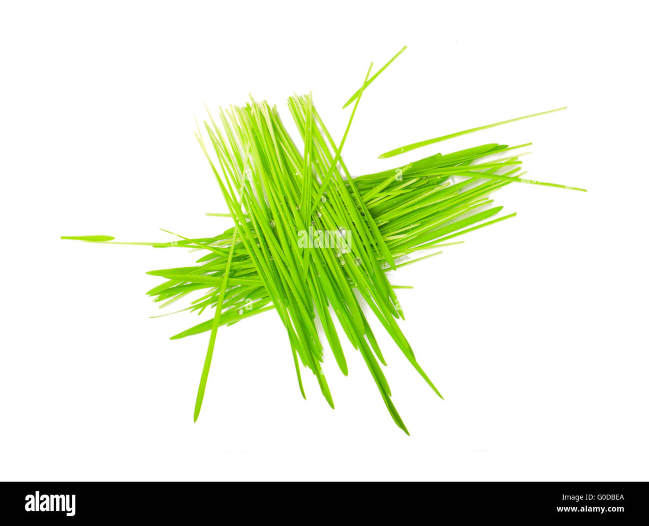 Friendly bundle Cut Out Stock Images & Pictures - Alamy