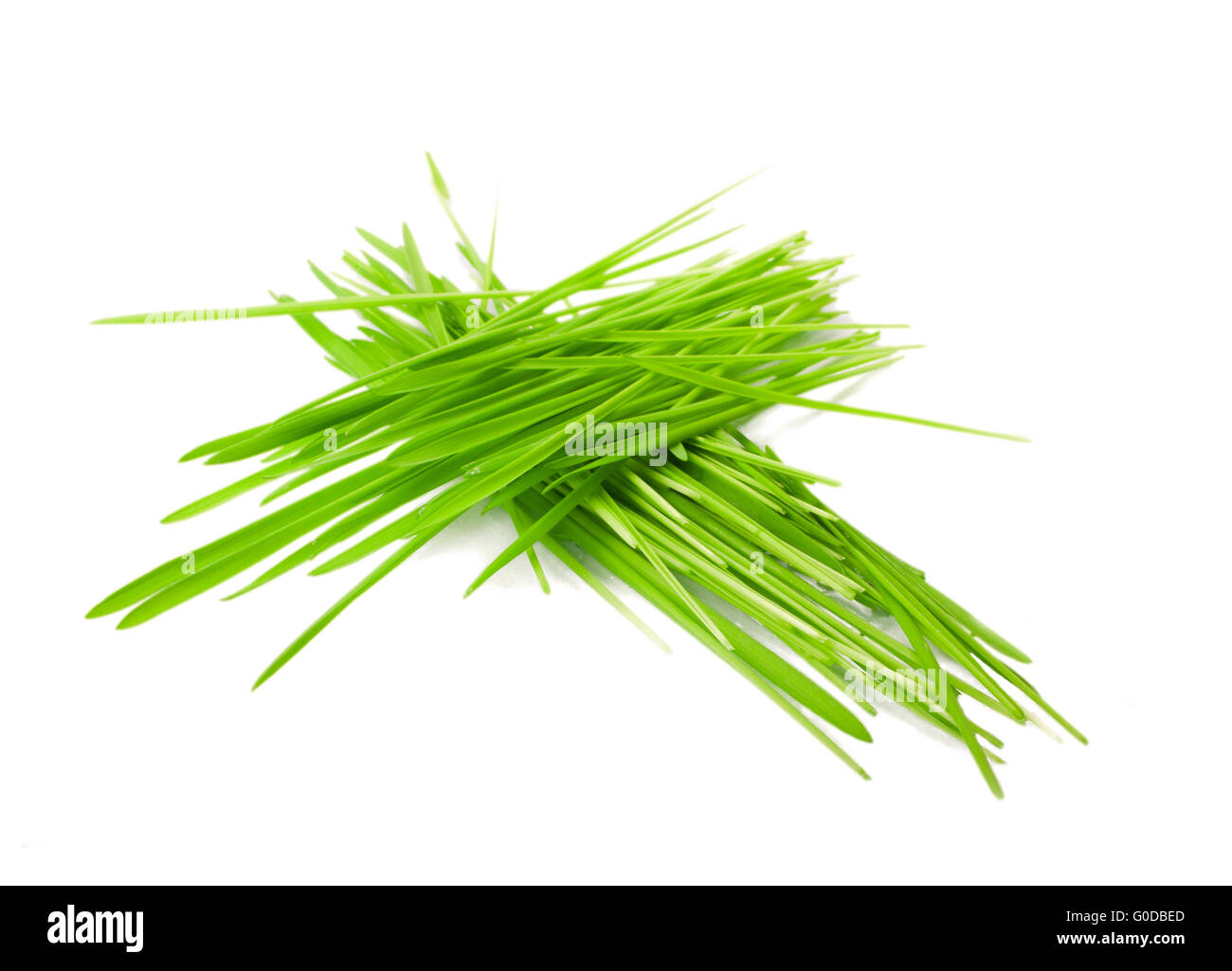 green grass in bundles isolated on white background Stock Photo - Alamy