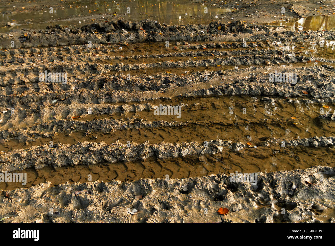 Dirty broken rural road with deep tire tracks Stock Photo - Alamy