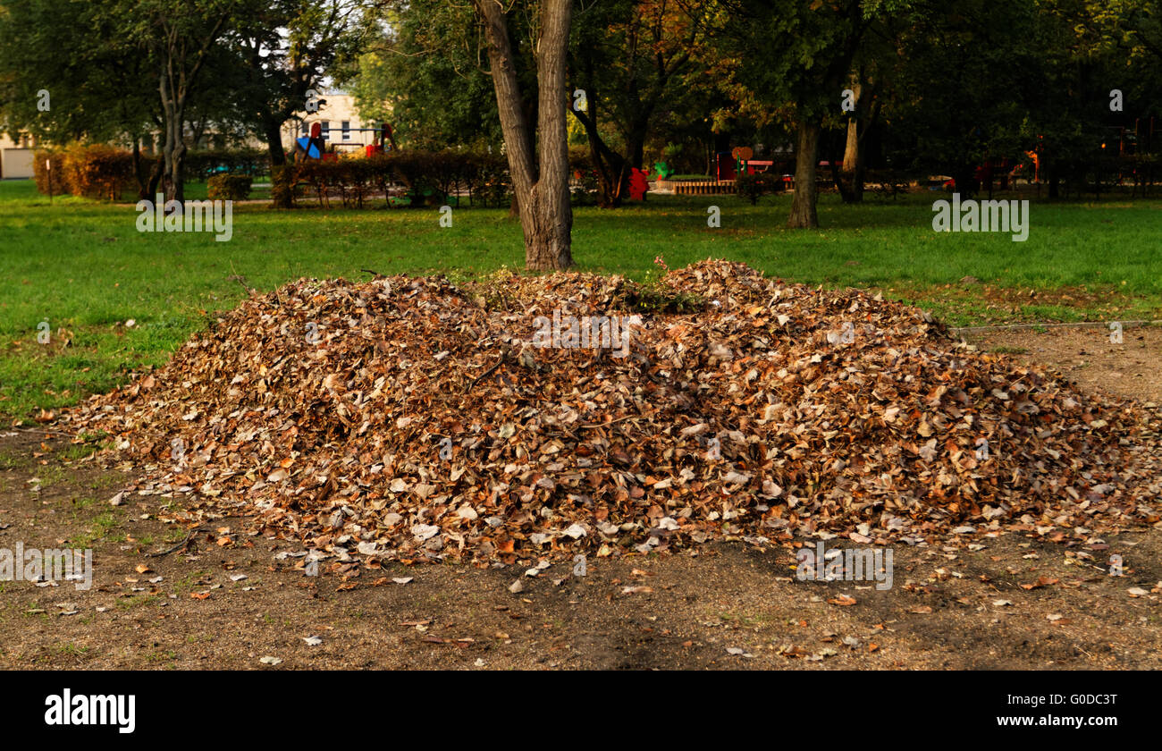 Pile fallen autumn leaves in the park Stock Photo - Alamy