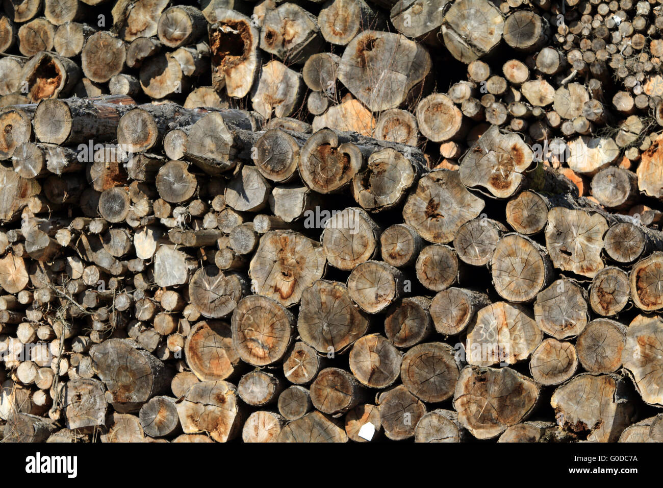Log pile, Bavaria, Germany Stock Photo - Alamy