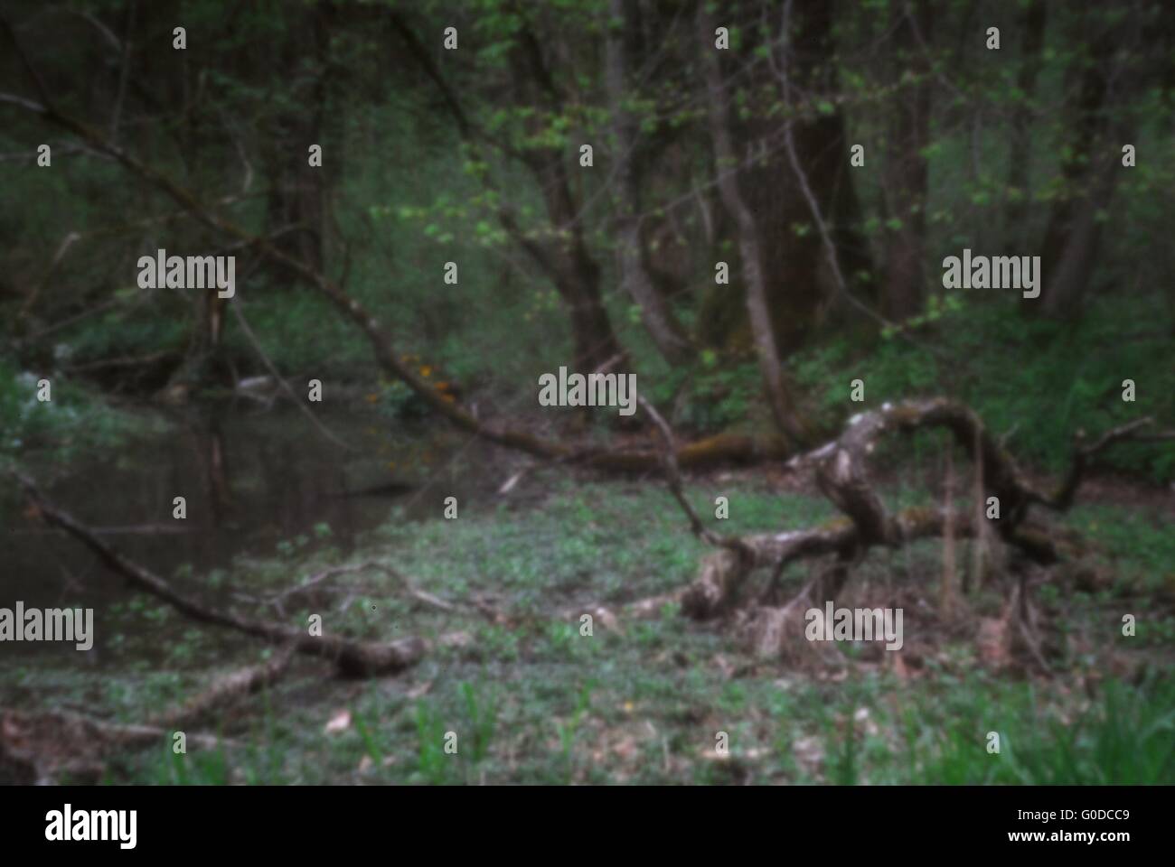 Green floodplain hi-res stock photography and images - Alamy