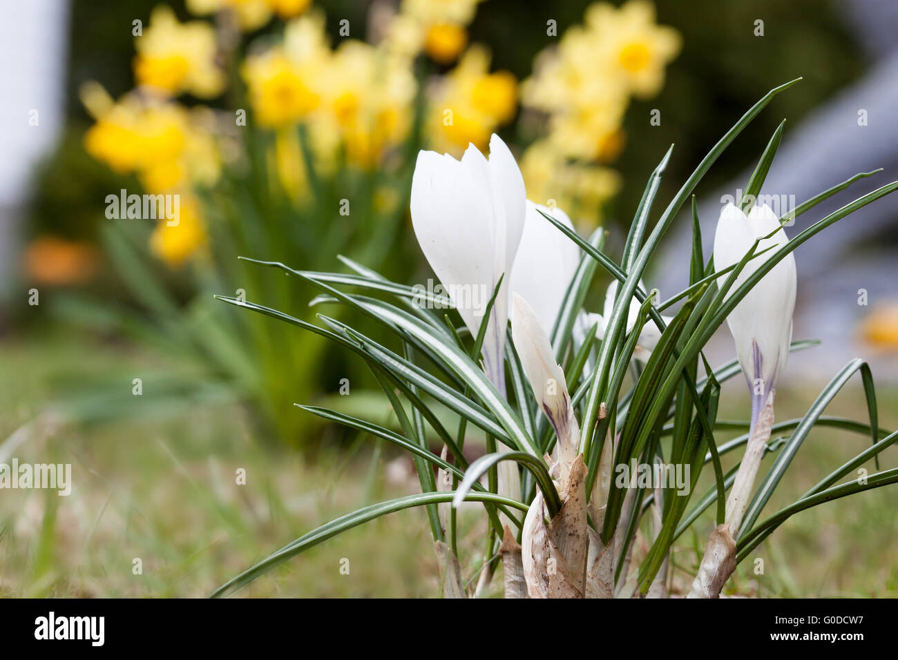 Hard awakening hi-res stock photography and images - Alamy