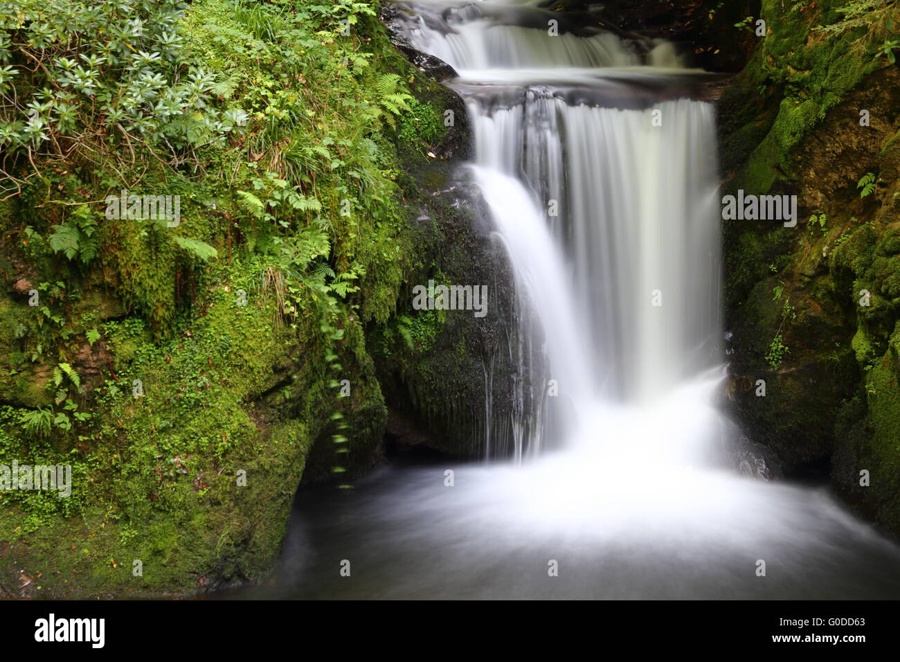 Waterfall in tropical forest saraburi hi-res stock photography and ...