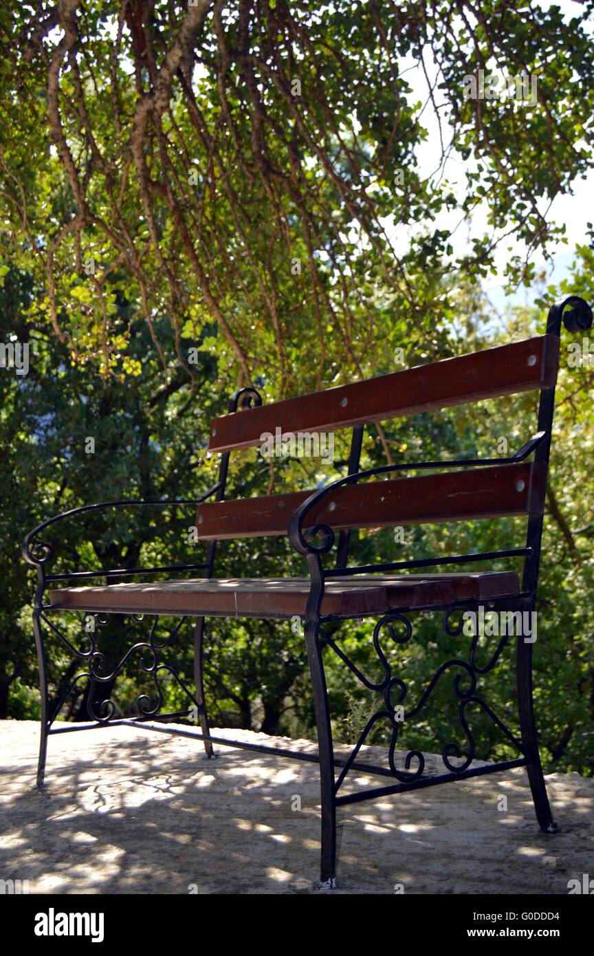 A bench in a garden in the shade of a tree Stock Photo - Alamy