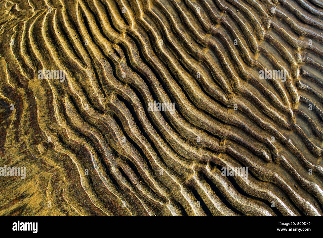 Rippled texture and pattern hi-res stock photography and images - Alamy