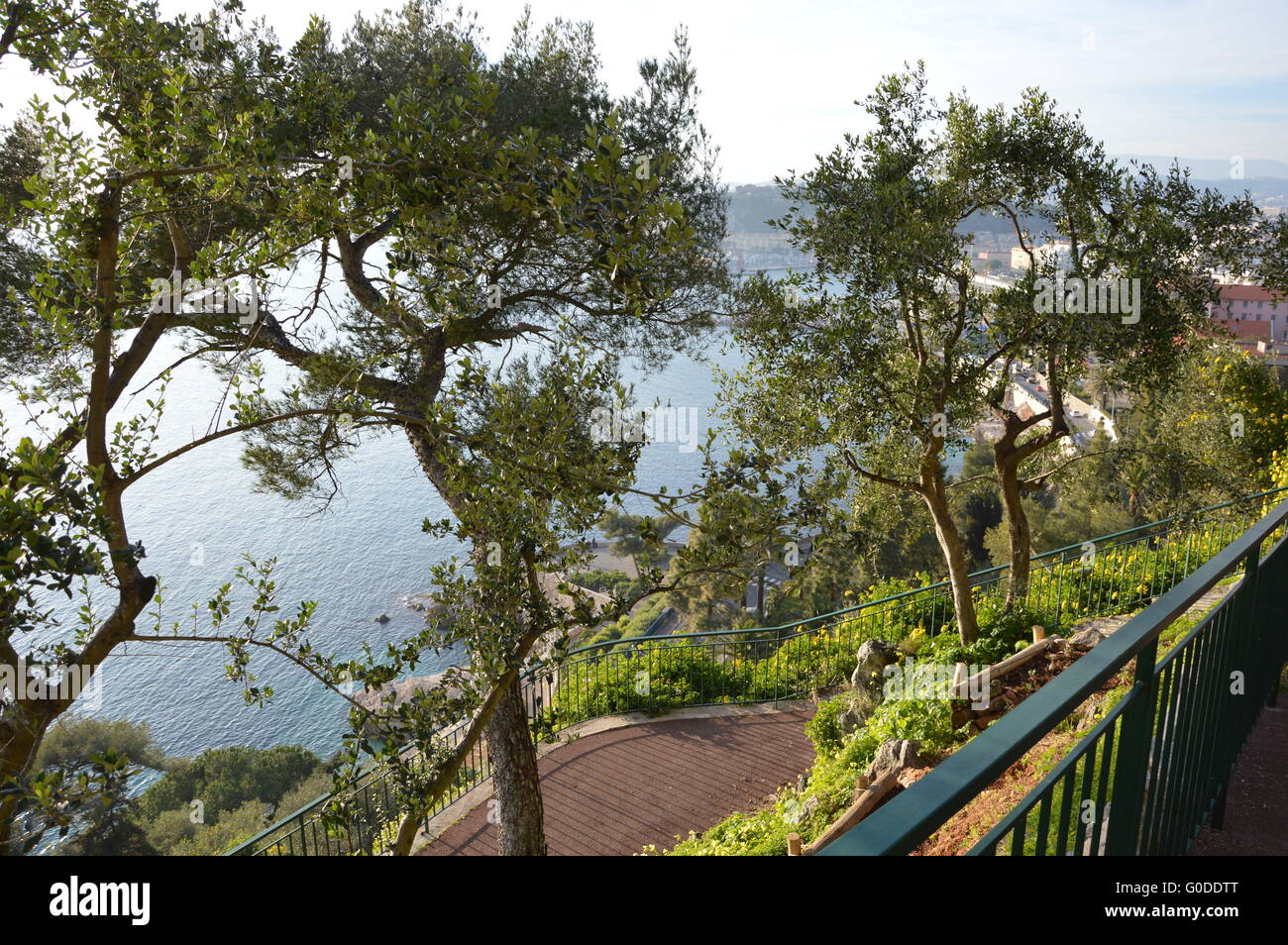 Top down view houses green hi-res stock photography and images - Alamy