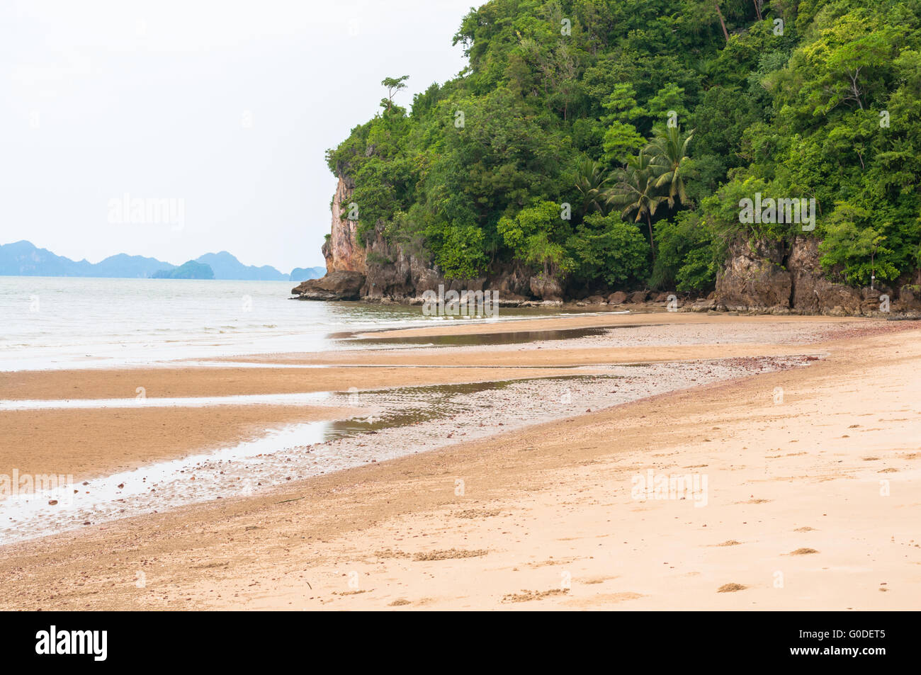 Beautiful blurry closeup view hi-res stock photography and images - Alamy