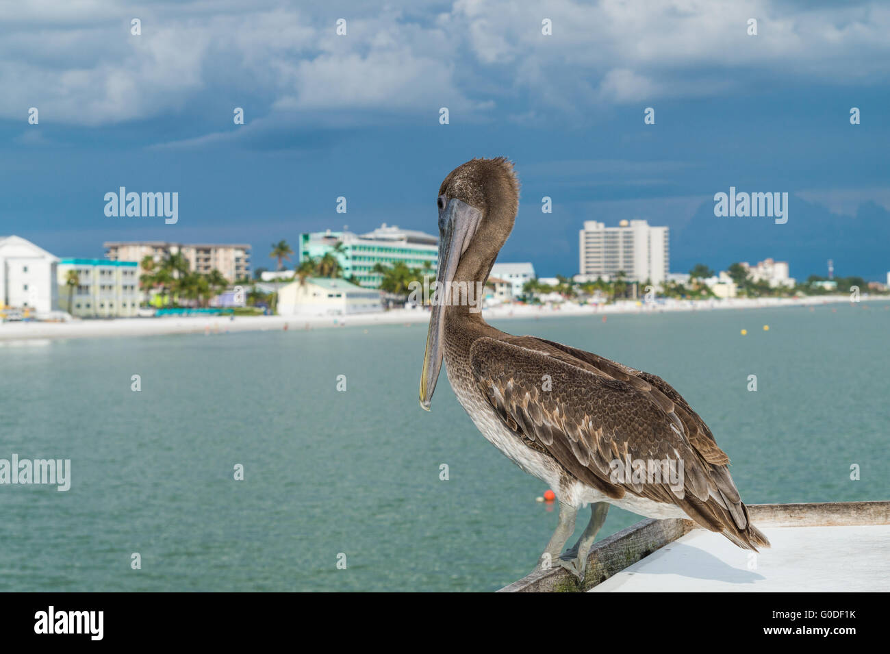 Ob beach hi-res stock photography and images - Alamy