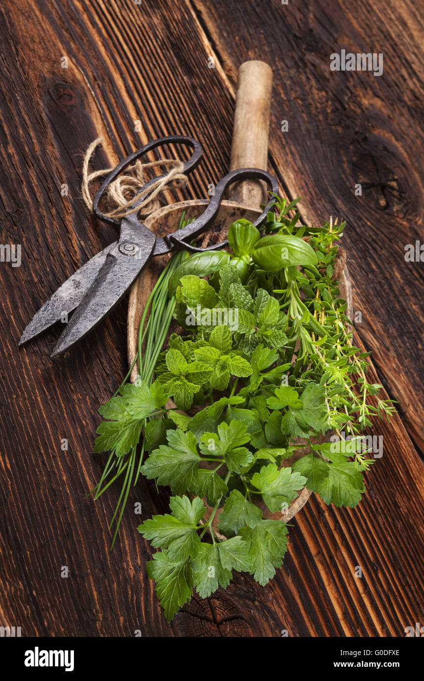 Various aromatic culinary herbs, rustic style Stock Photo - Alamy