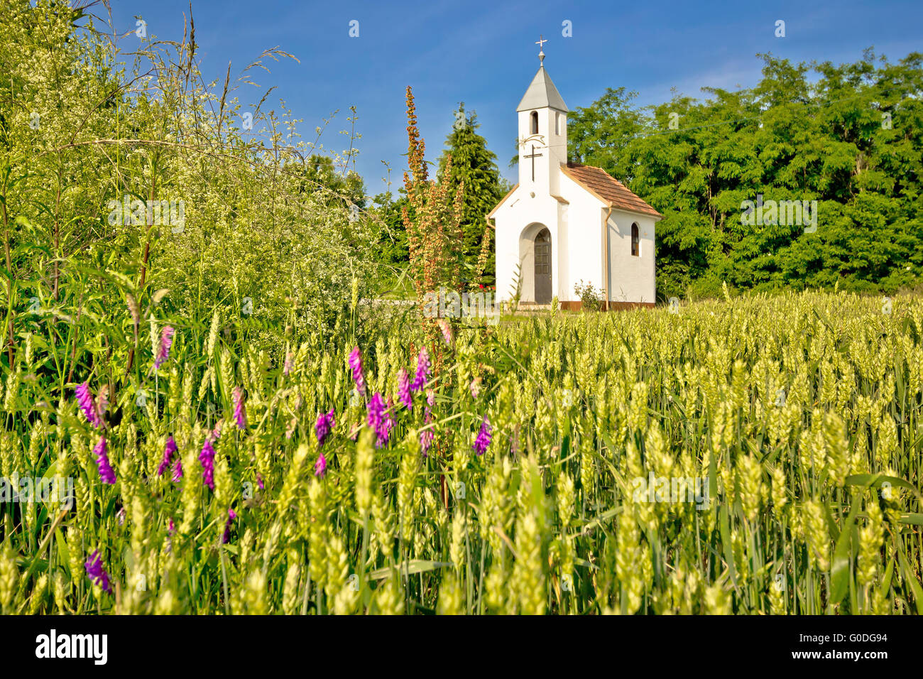 Catholic chapel in rural agricultural landscape Stock Photo - Alamy