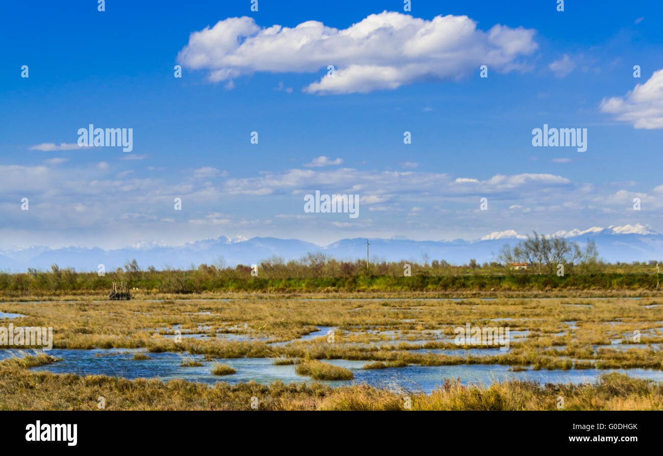 Laguna di venezia Stock Photo - Alamy