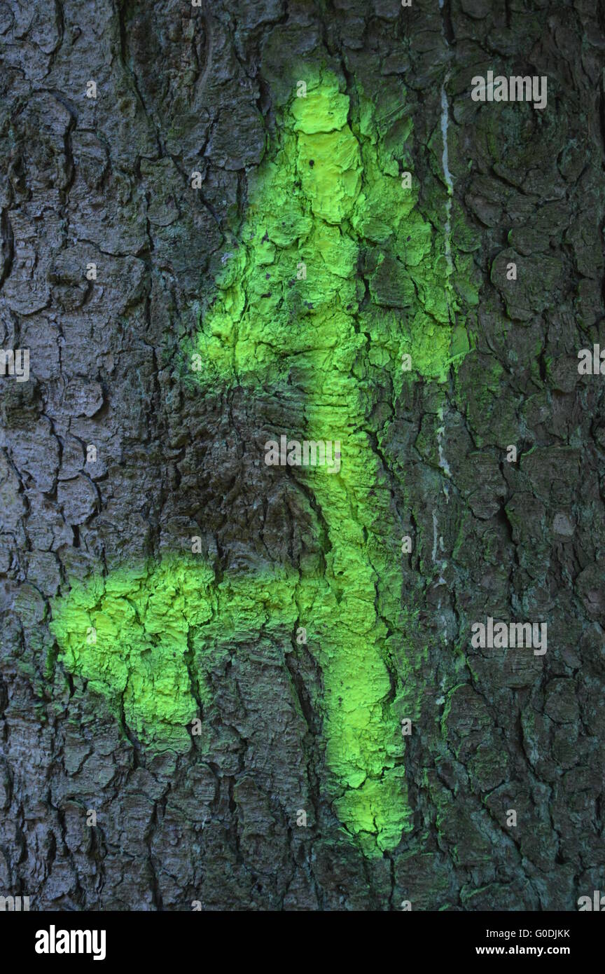 Arrow mark tree hi-res stock photography and images - Alamy