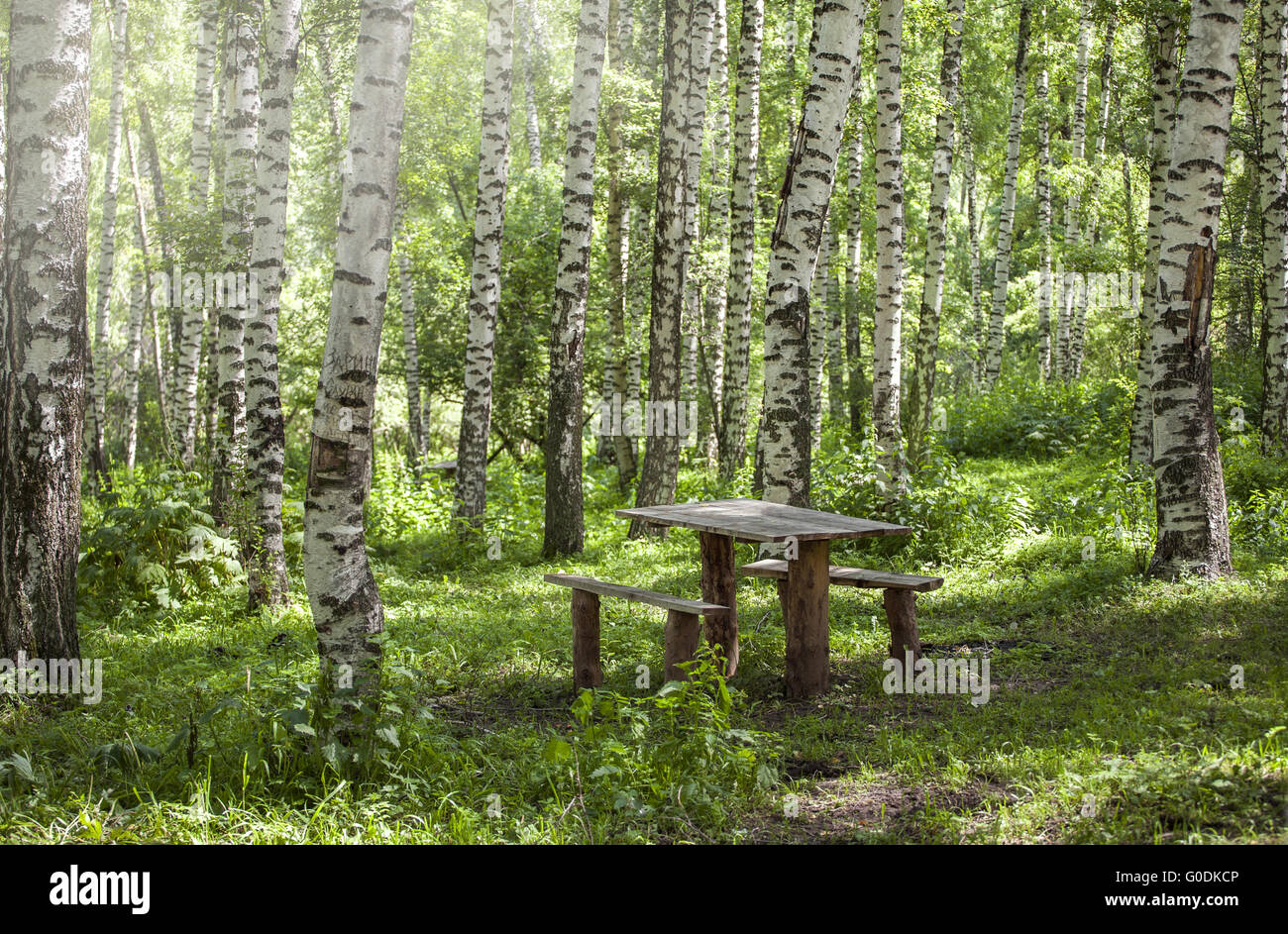 Wooded grove hi-res stock photography and images - Alamy