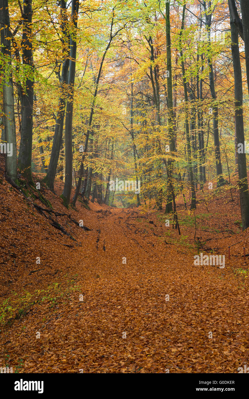 Furlbachtal hi-res stock photography and images - Alamy