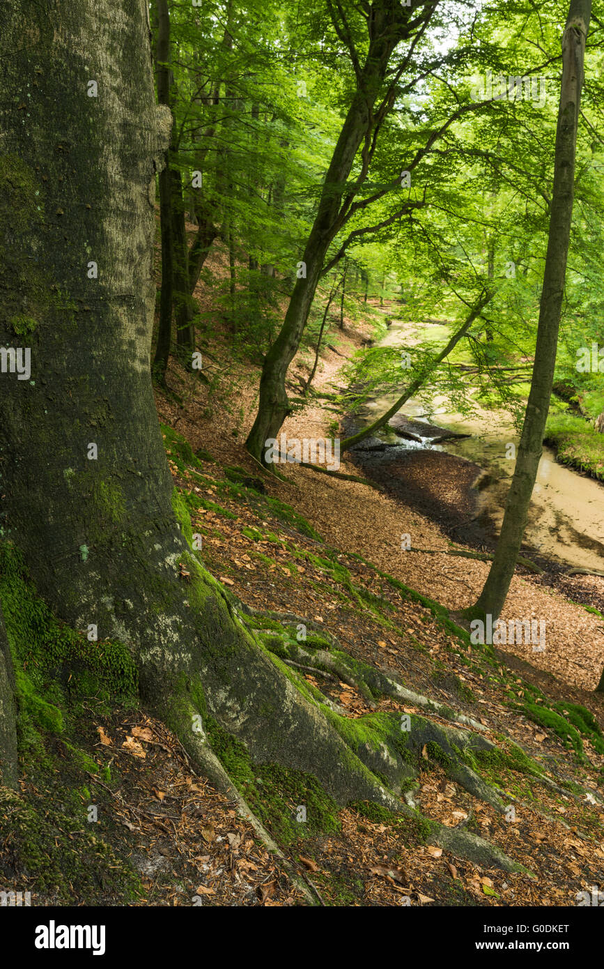 Wanderw hi-res stock photography and images - Alamy