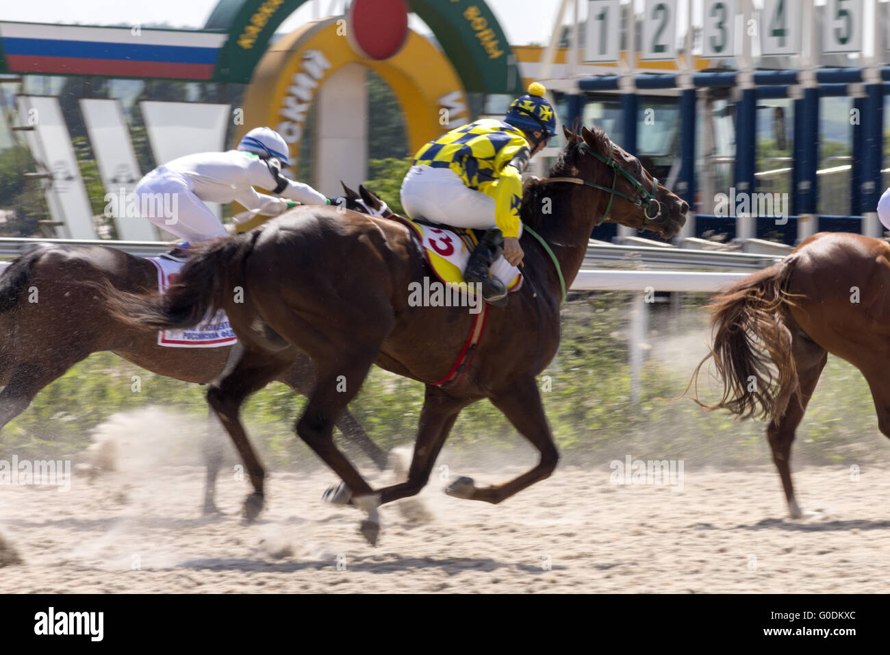 Horse race venue hi-res stock photography and images - Alamy