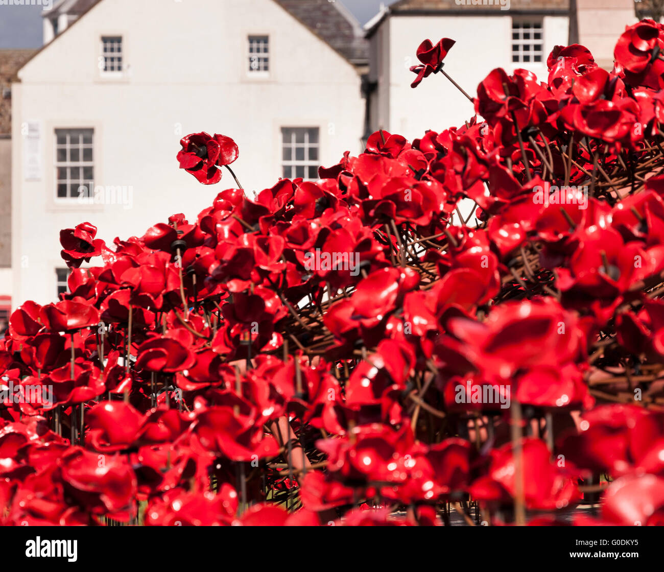 "Weeping Window" poppy sculpture by Paul Cummins and Tom Piper ...