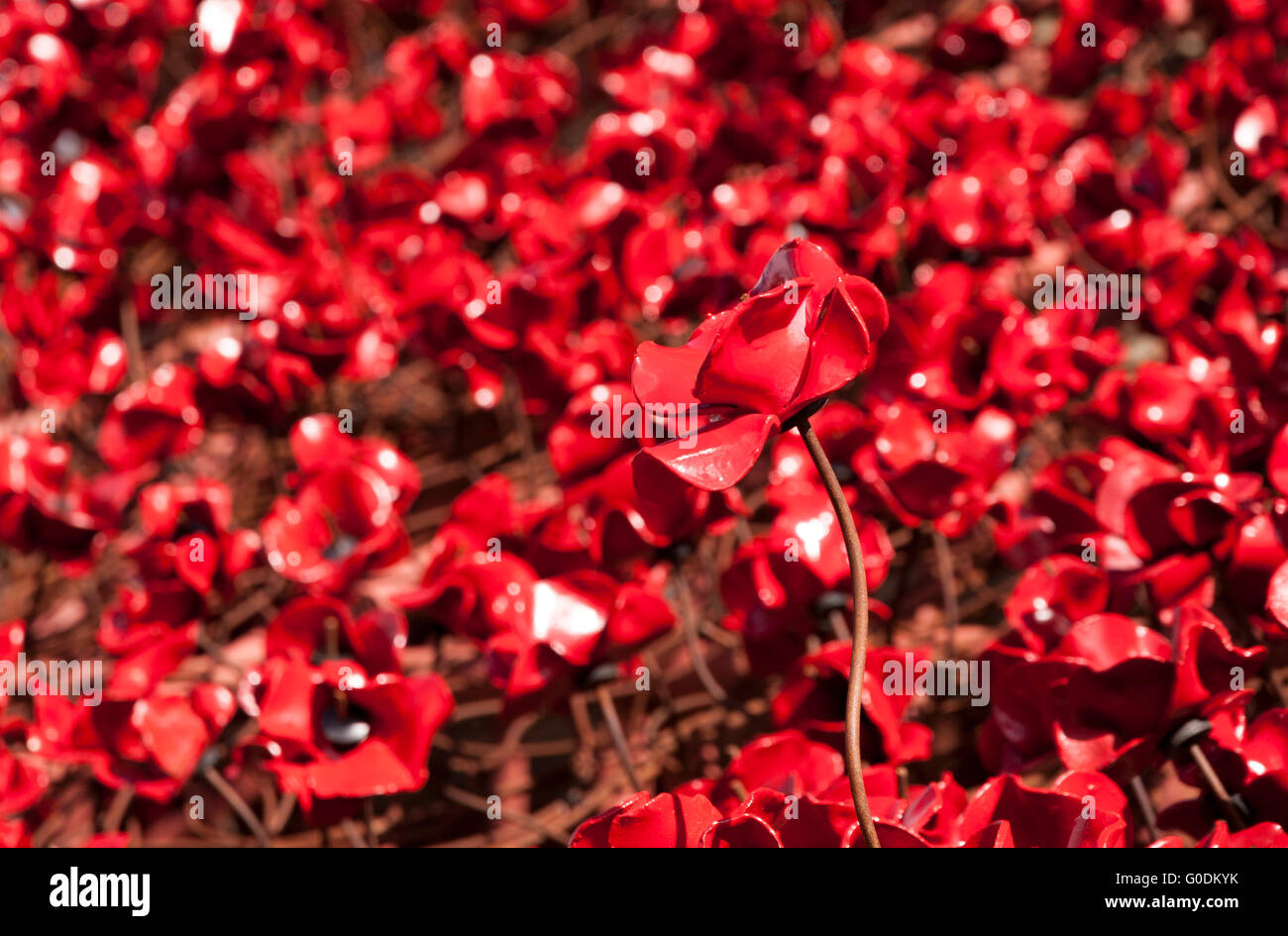 "Weeping Window" poppy sculpture by Paul Cummins and Tom Piper ...