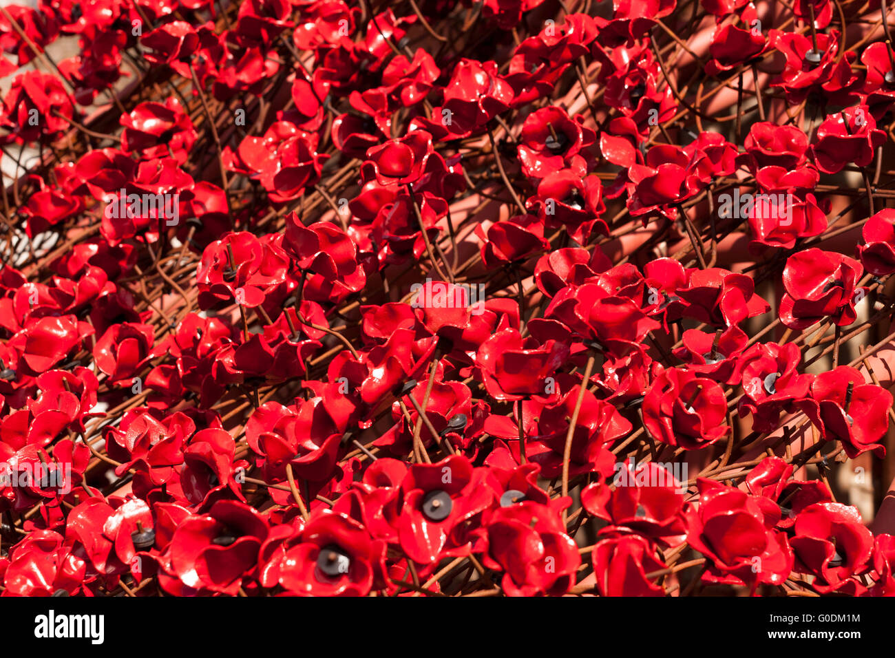 "Weeping Window" poppy sculpture by Paul Cummins and Tom Piper ...