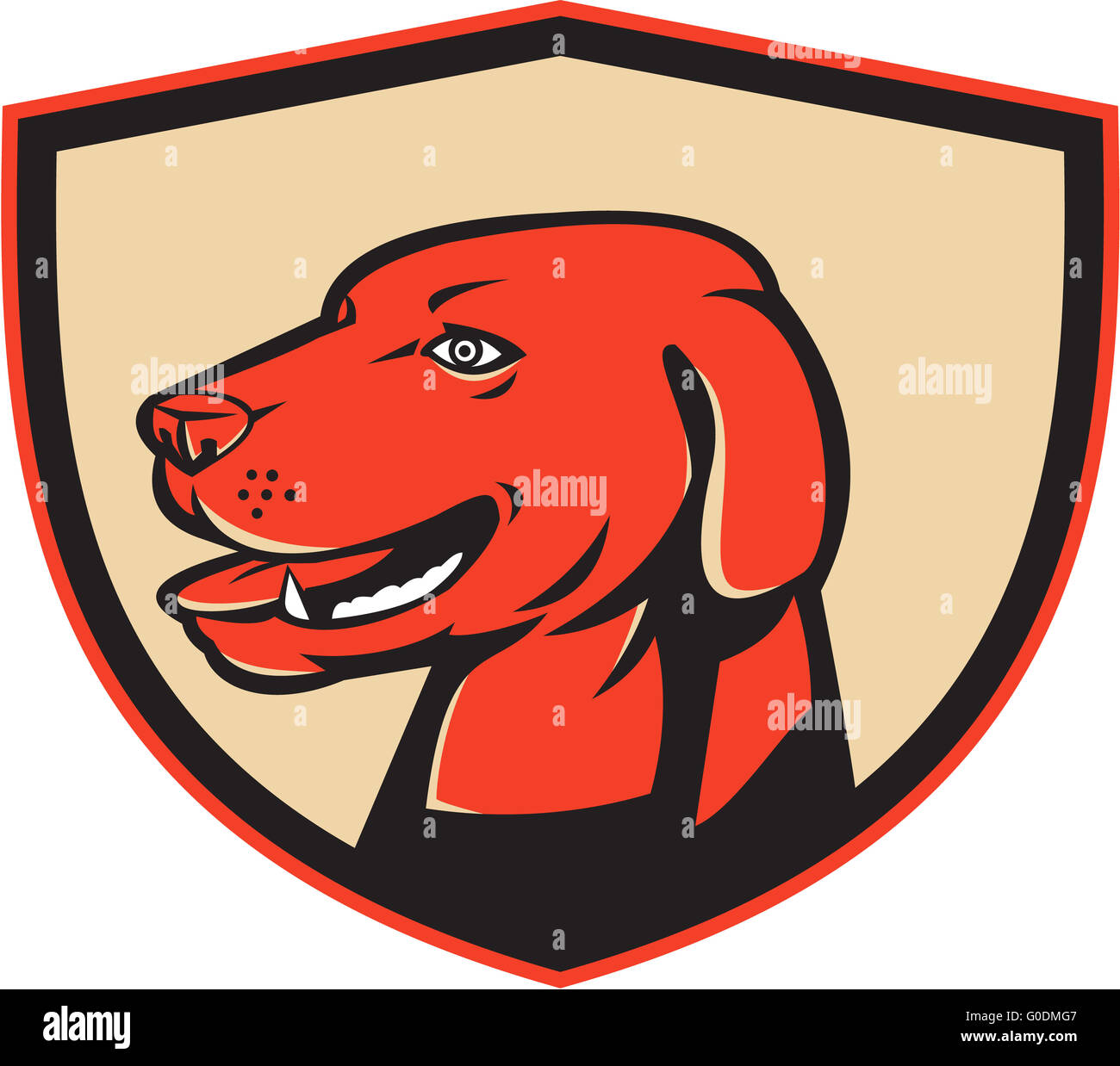 Labrador Golden Retriever Dog Head Shield Retro Stock Photo - Alamy
