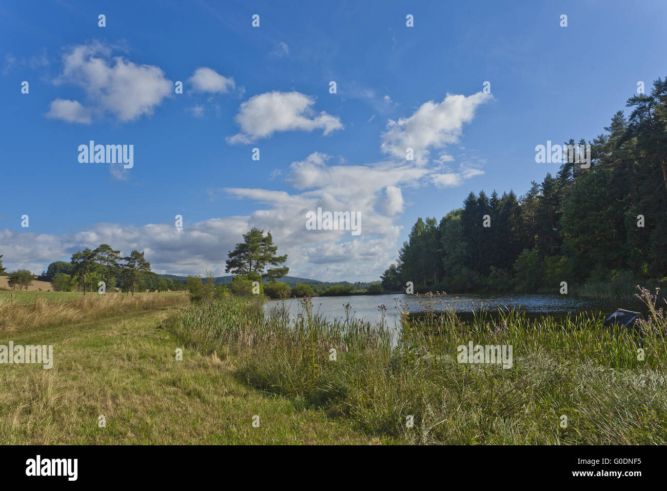 Landscape with lake Stock Photo - Alamy